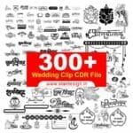 School Transfer Certificate CDR File - Star Design