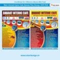 School Calender Design 2024 - Star Design