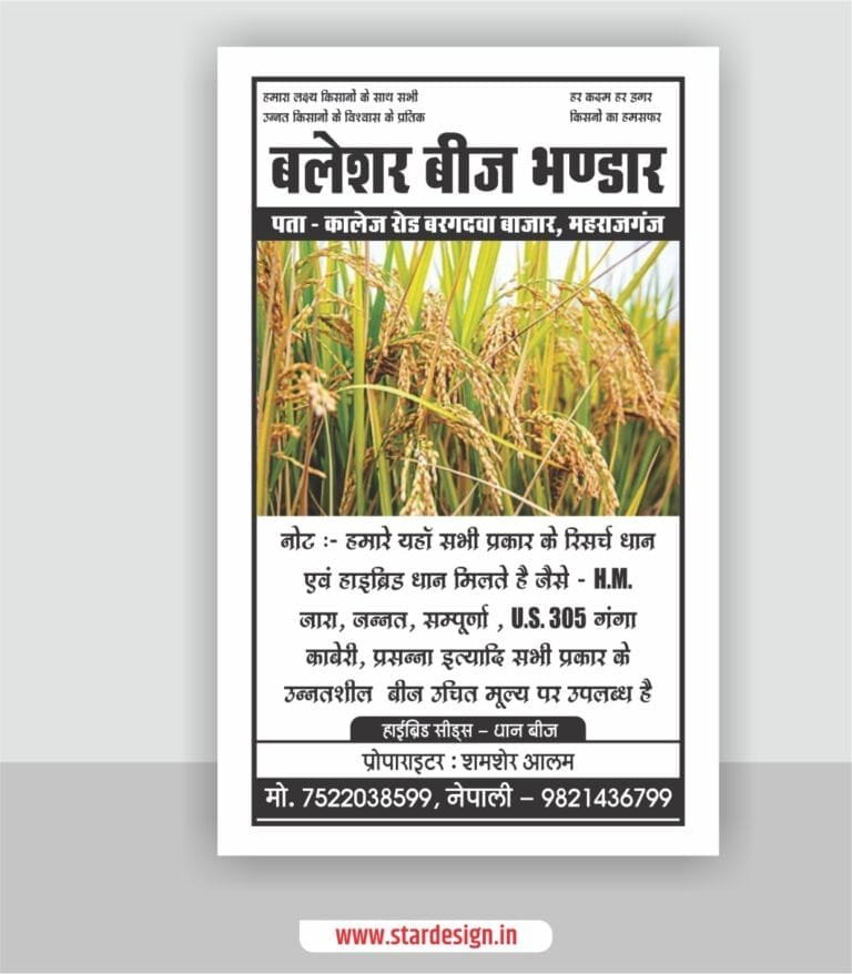 traders shop pamphlet design - Star Design